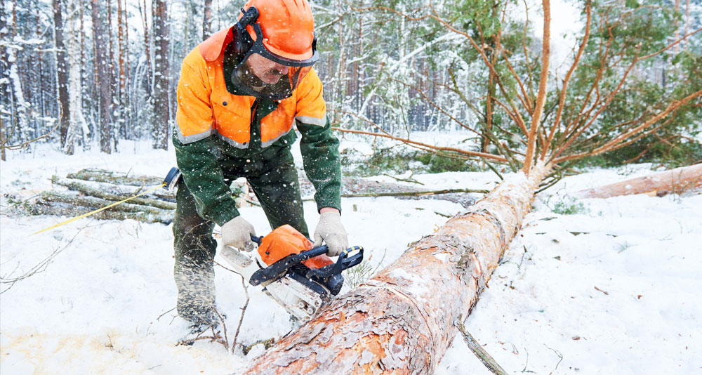 How to Prevent Cold Stress in the Winter - Arbill